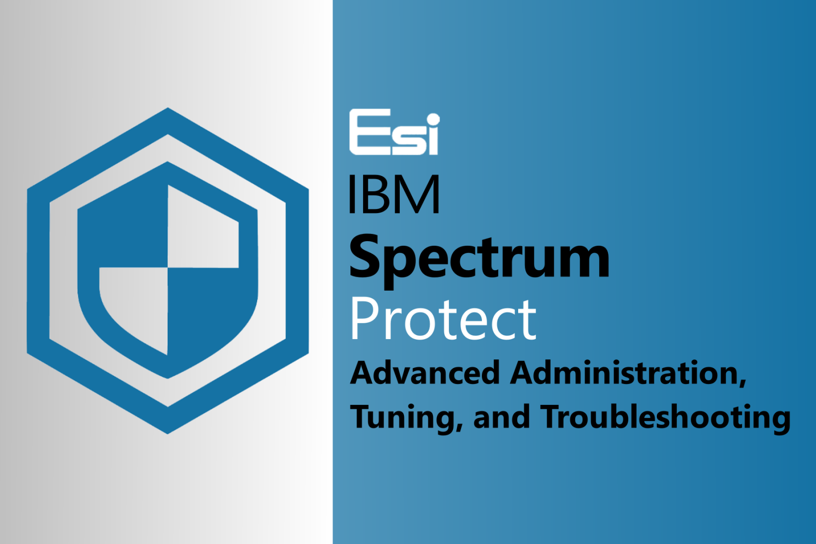 IBM Spectrum Protect Advanced Administration, Tuning, and ...